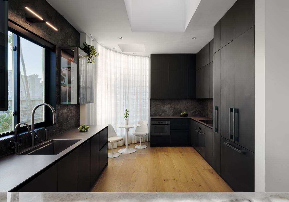 Santa Monica Penthouse Kitchen